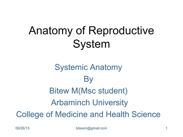 Anatomy of Reproductive system by Bitew | PPT
