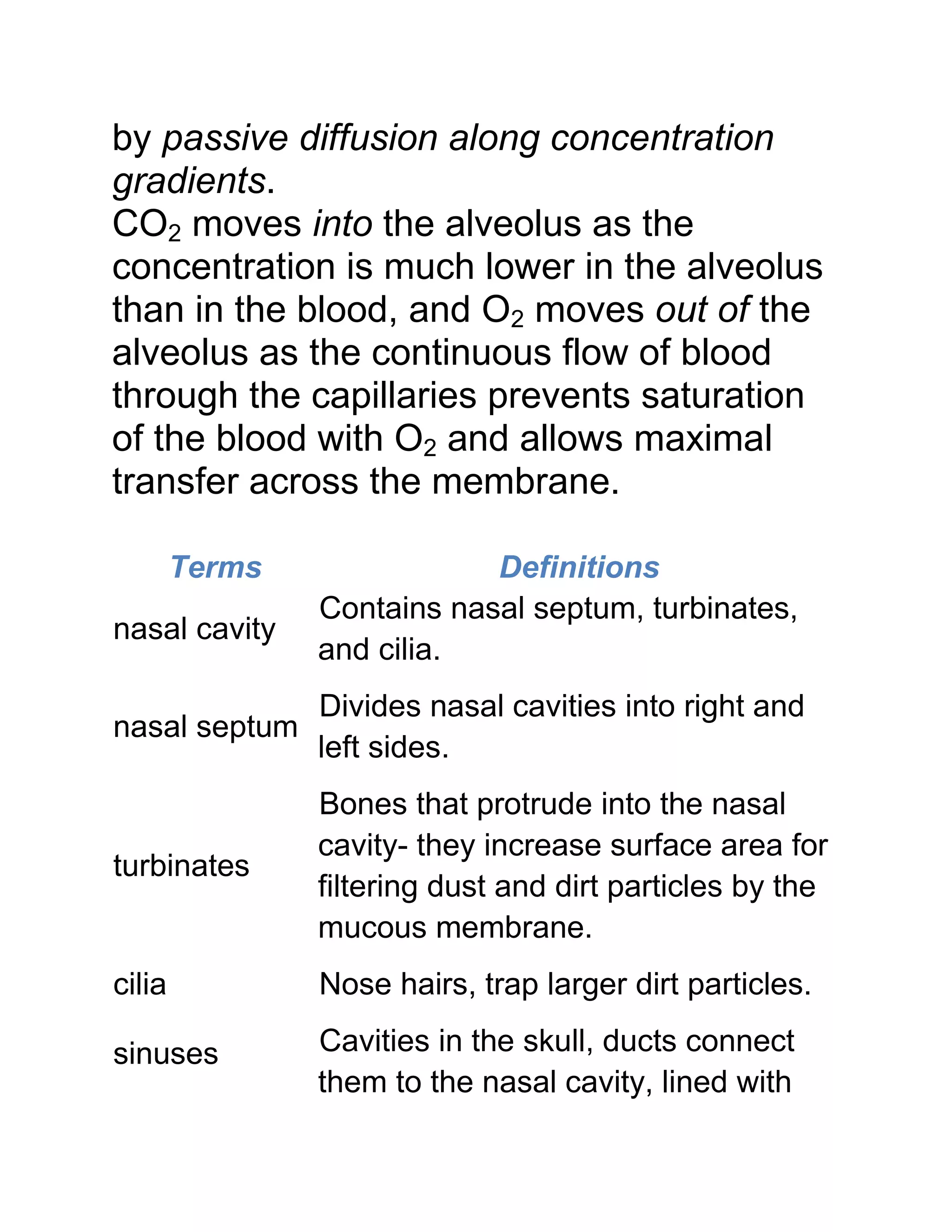 Anatomy of respiratory system. | DOCX