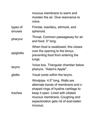 Anatomy of respiratory system. | DOCX