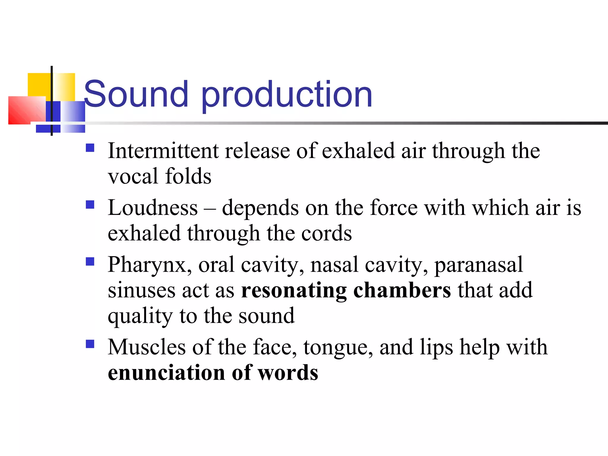 Anatomy of respiratory system | PPT