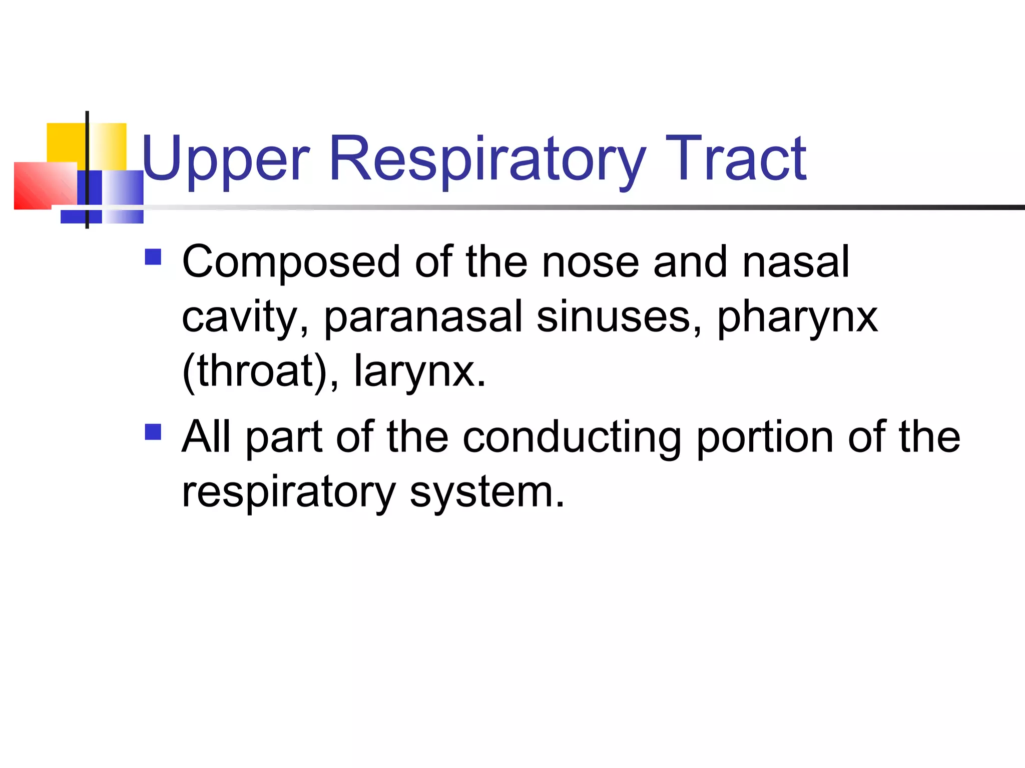 Anatomy of respiratory system | PPT