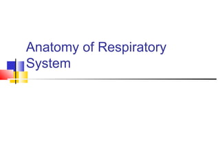 Anatomy of respiratory system | PPT