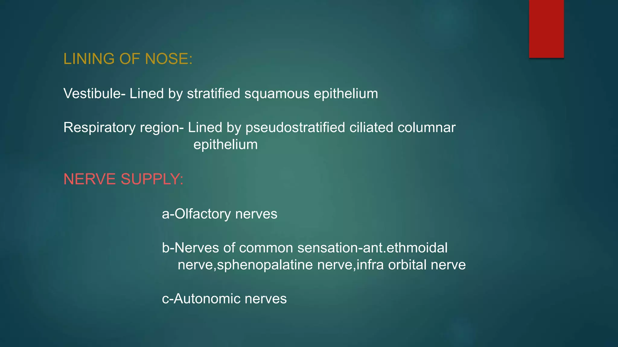 Anatomy of respiratory system | PPTX