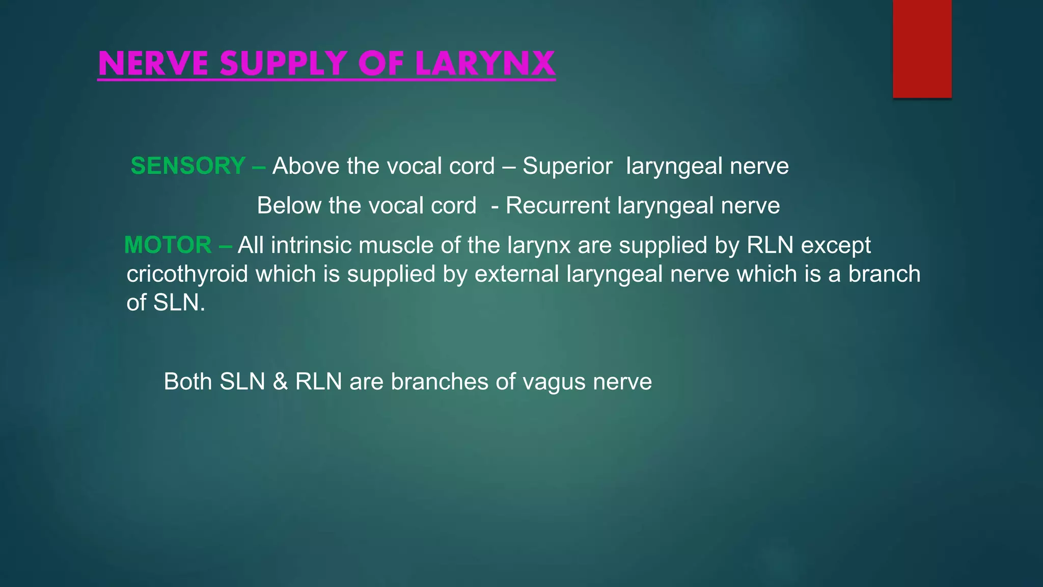 Anatomy of respiratory system | PPTX