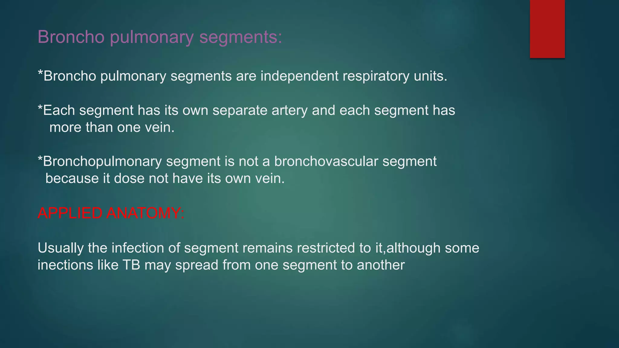 Anatomy of respiratory system | PPTX