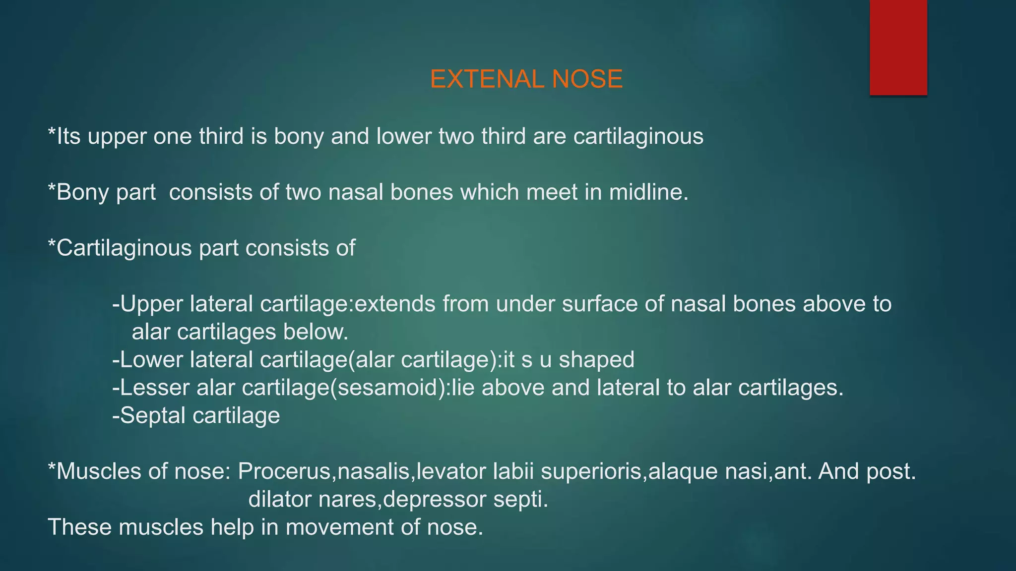 Anatomy of respiratory system | PPTX