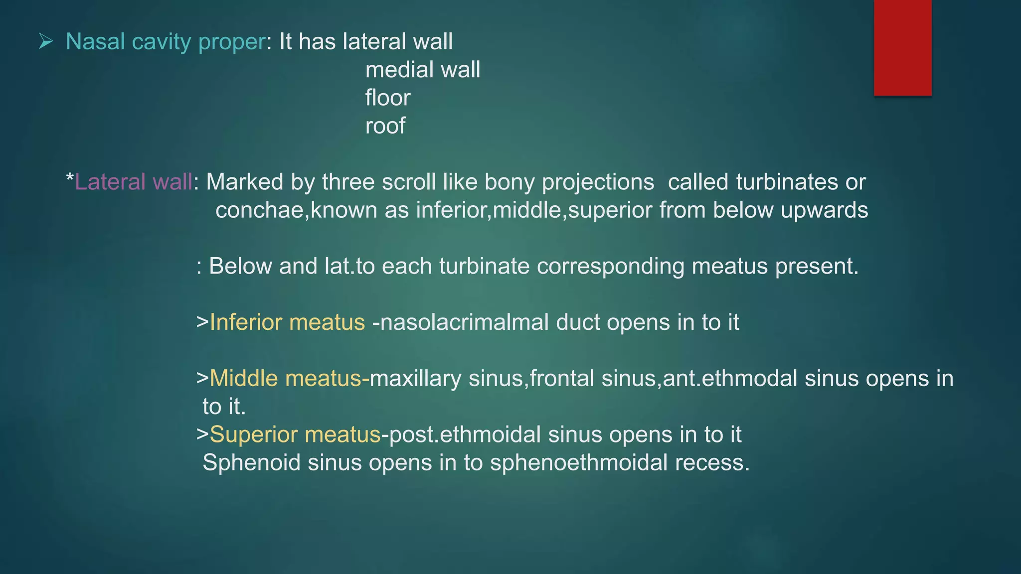 Anatomy of respiratory system | PPTX