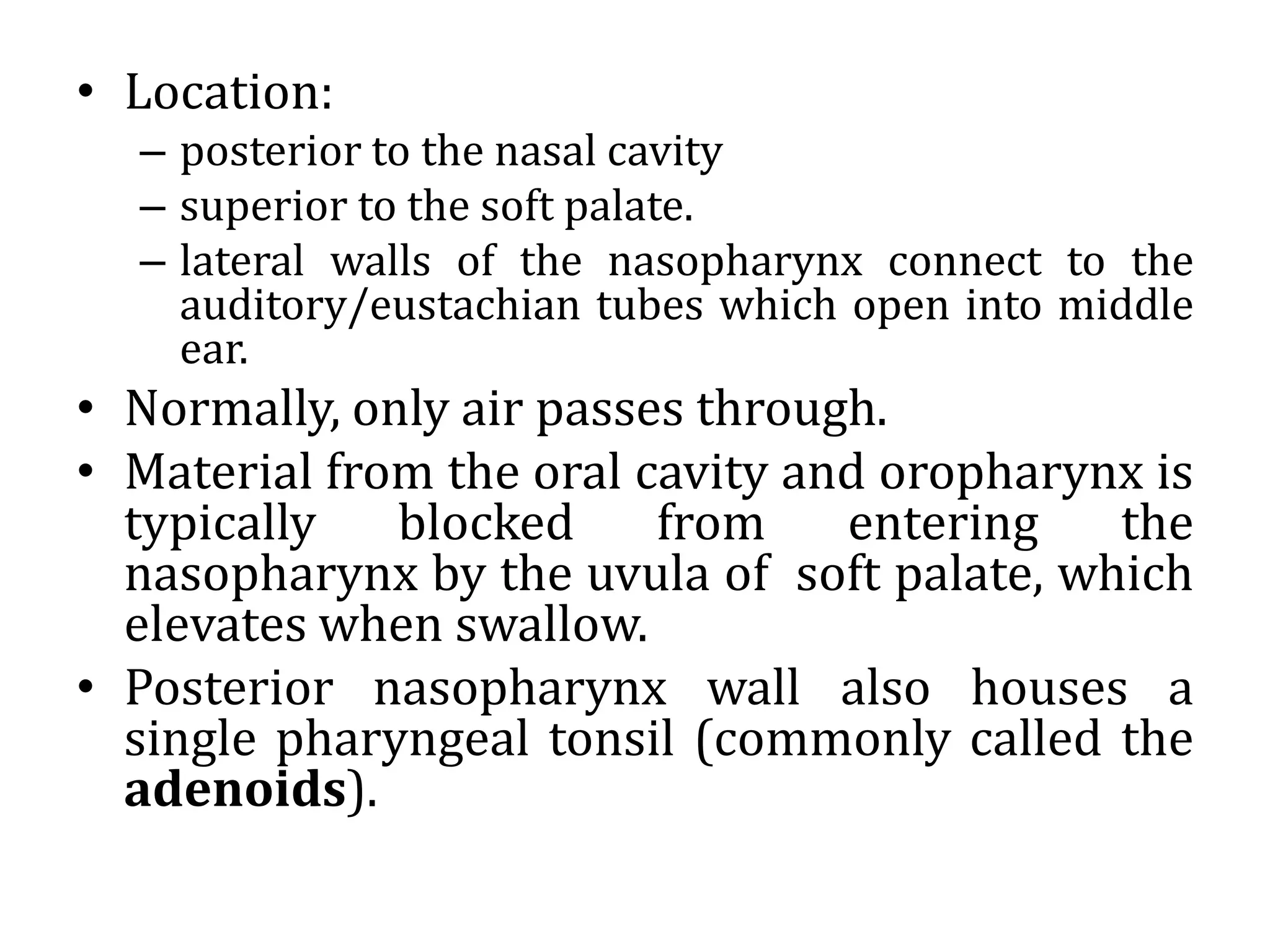 Respiratory System - Anatomy | PPSX