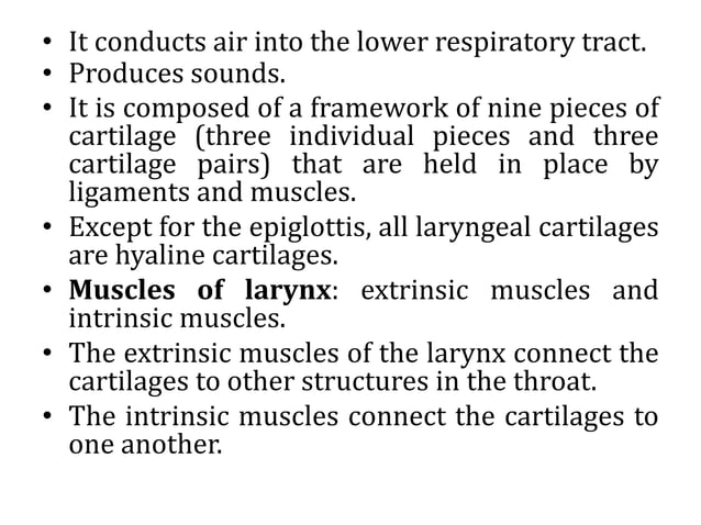Respiratory System - Anatomy | PPSX
