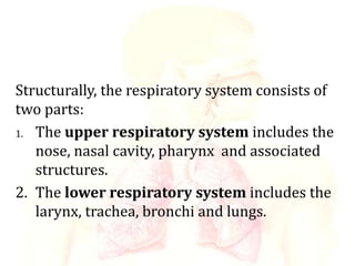 Respiratory System - Anatomy | PPSX