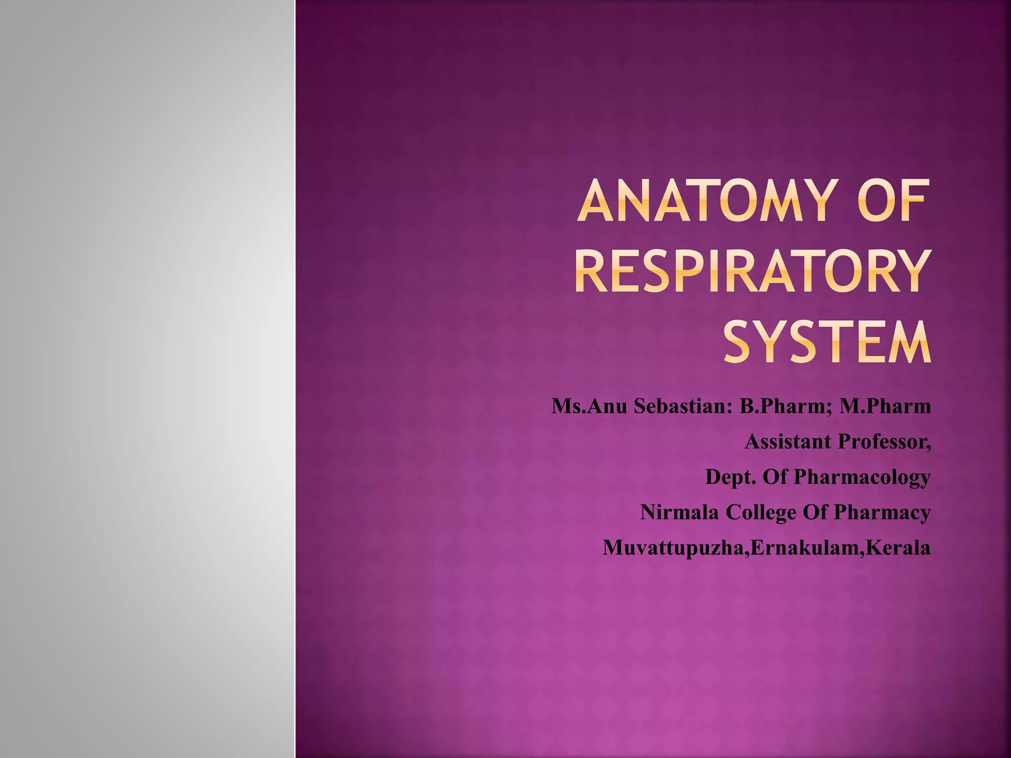 Anatomy of respiratory system | PPT