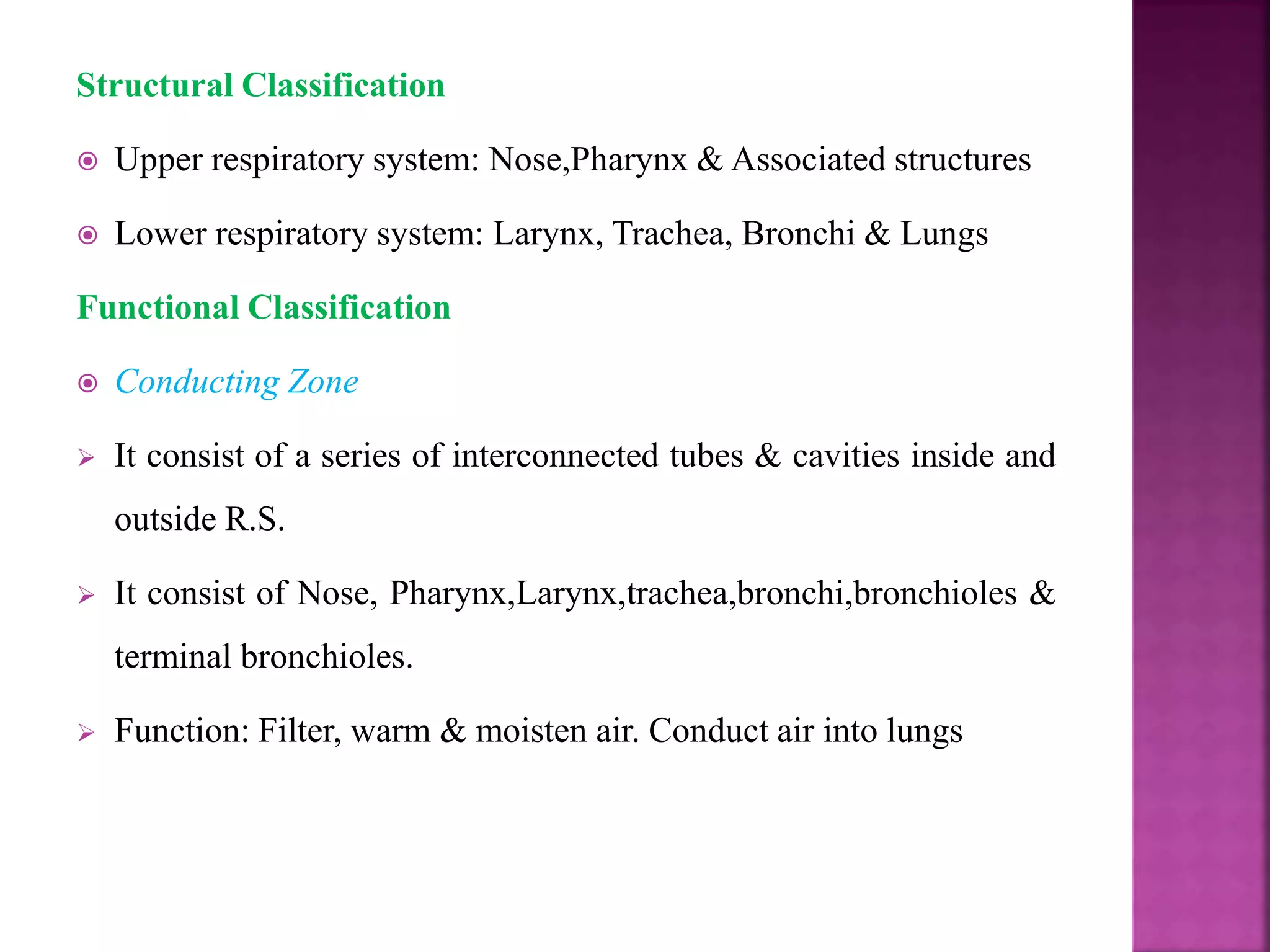 Anatomy of respiratory system | PPT