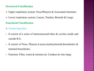 Anatomy of respiratory system | PPTX