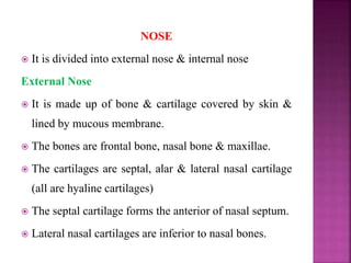 Anatomy of respiratory system | PPTX