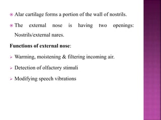 Anatomy of respiratory system | PPT