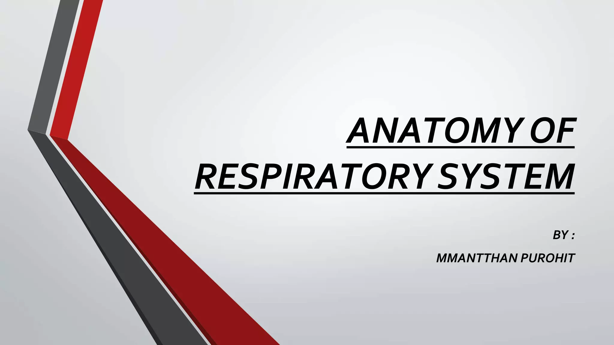 Anatomy of respiratory system | PPTX