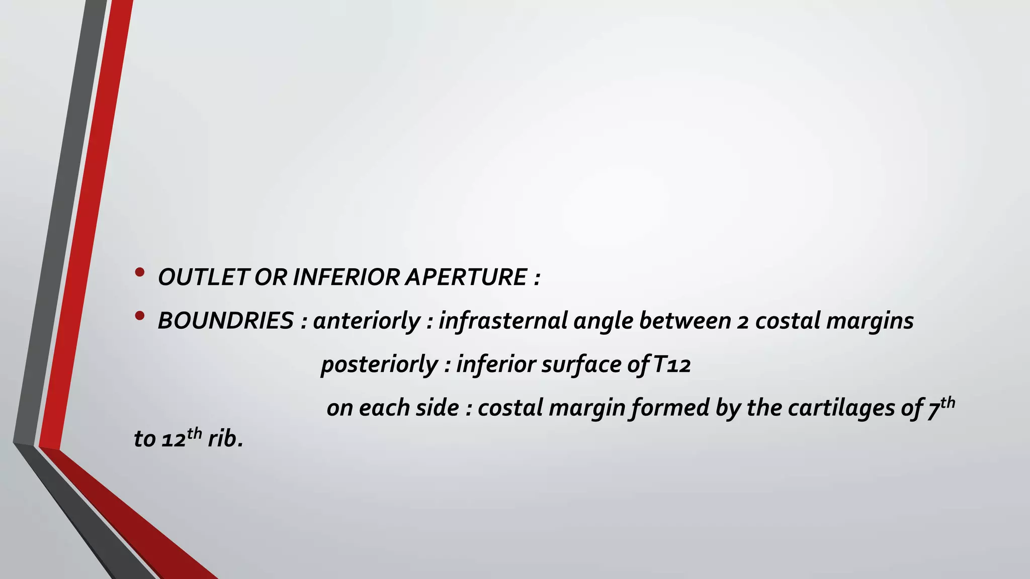 Anatomy of respiratory system | PPTX