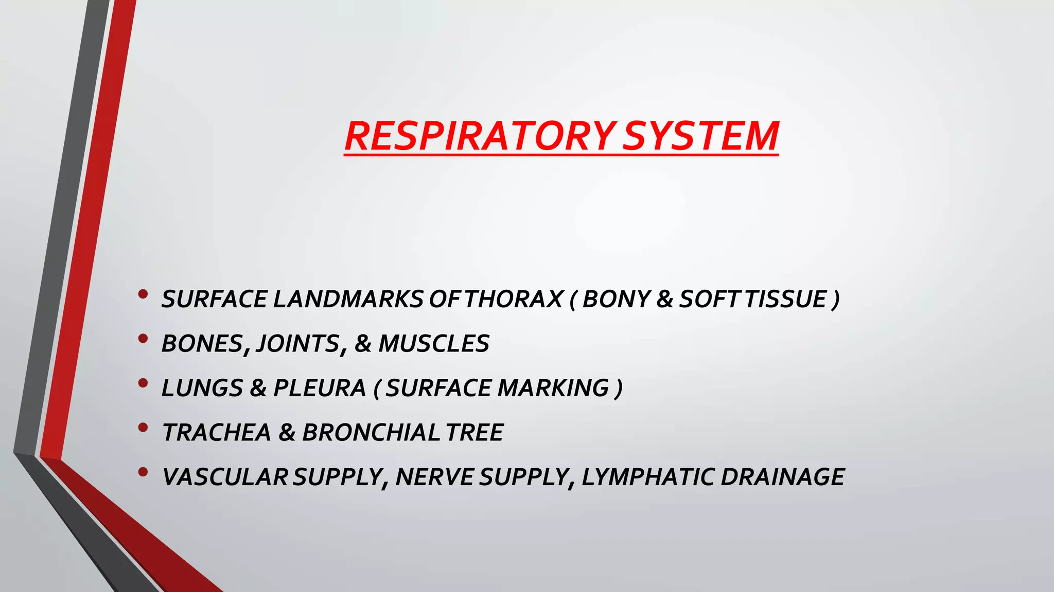 Anatomy of respiratory system | PPTX