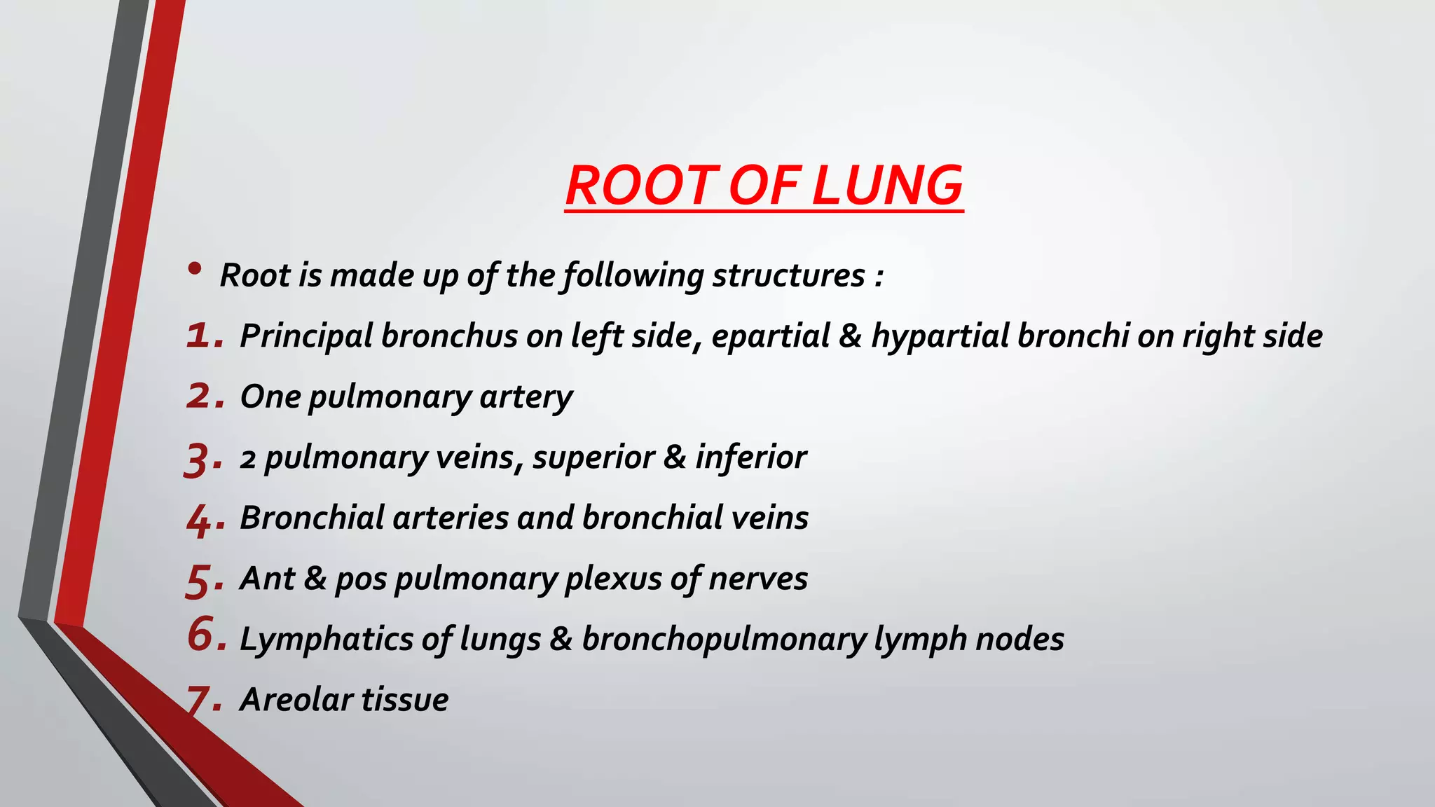Anatomy of respiratory system | PPTX