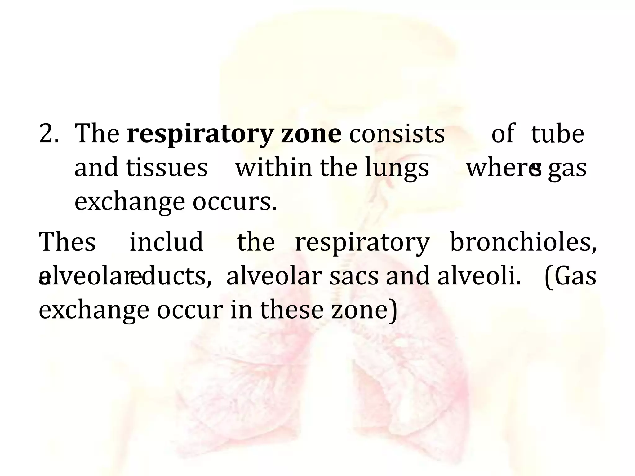 Anatomy of Respiratory system.pptx