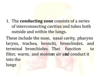 Anatomy of Respiratory system.pptx