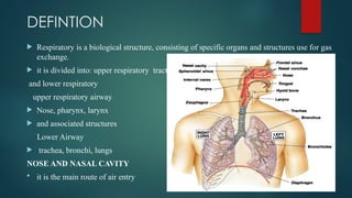 anatomy and physiology of respiratory system.pptx