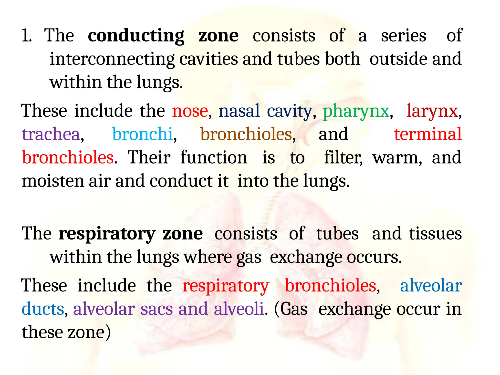 ١anatomy of respiratory system- Copy.pptx