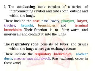 ١anatomy of respiratory system- Copy.pptx