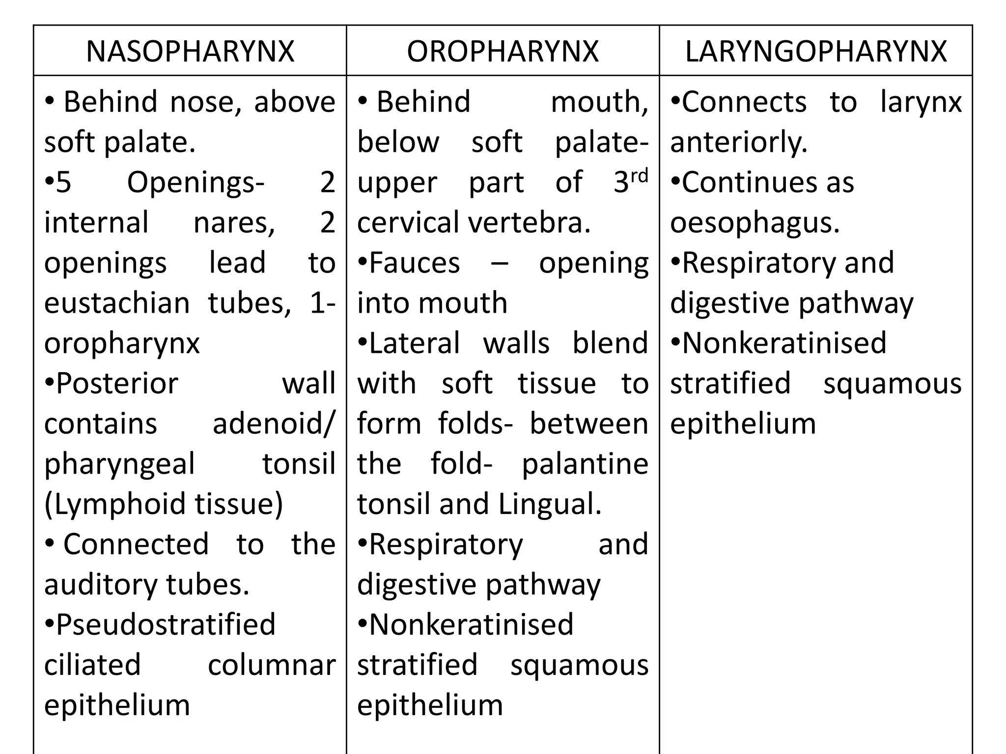 Anatomy of respiratory system | PPTX