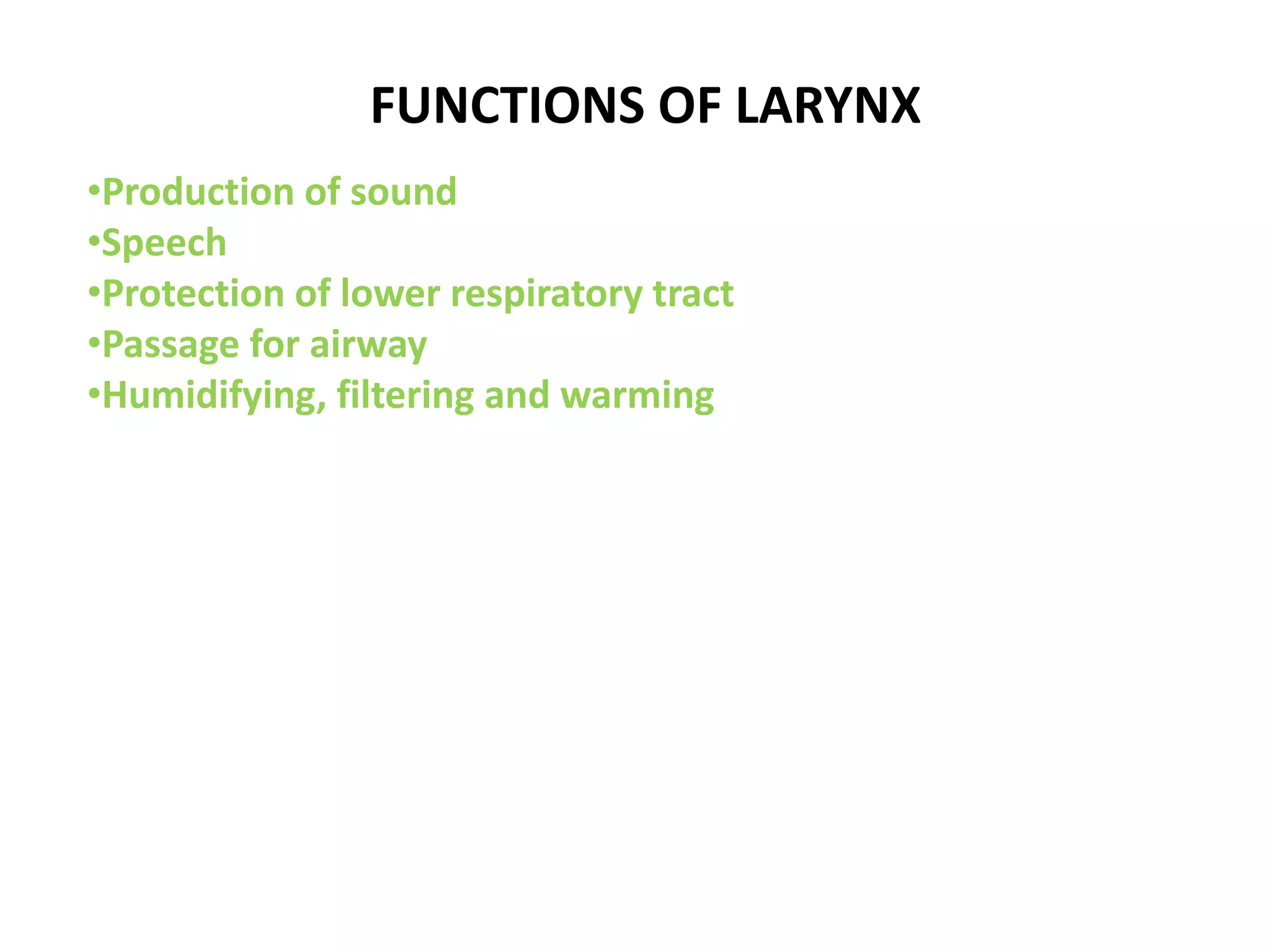 Anatomy of respiratory system | PPTX