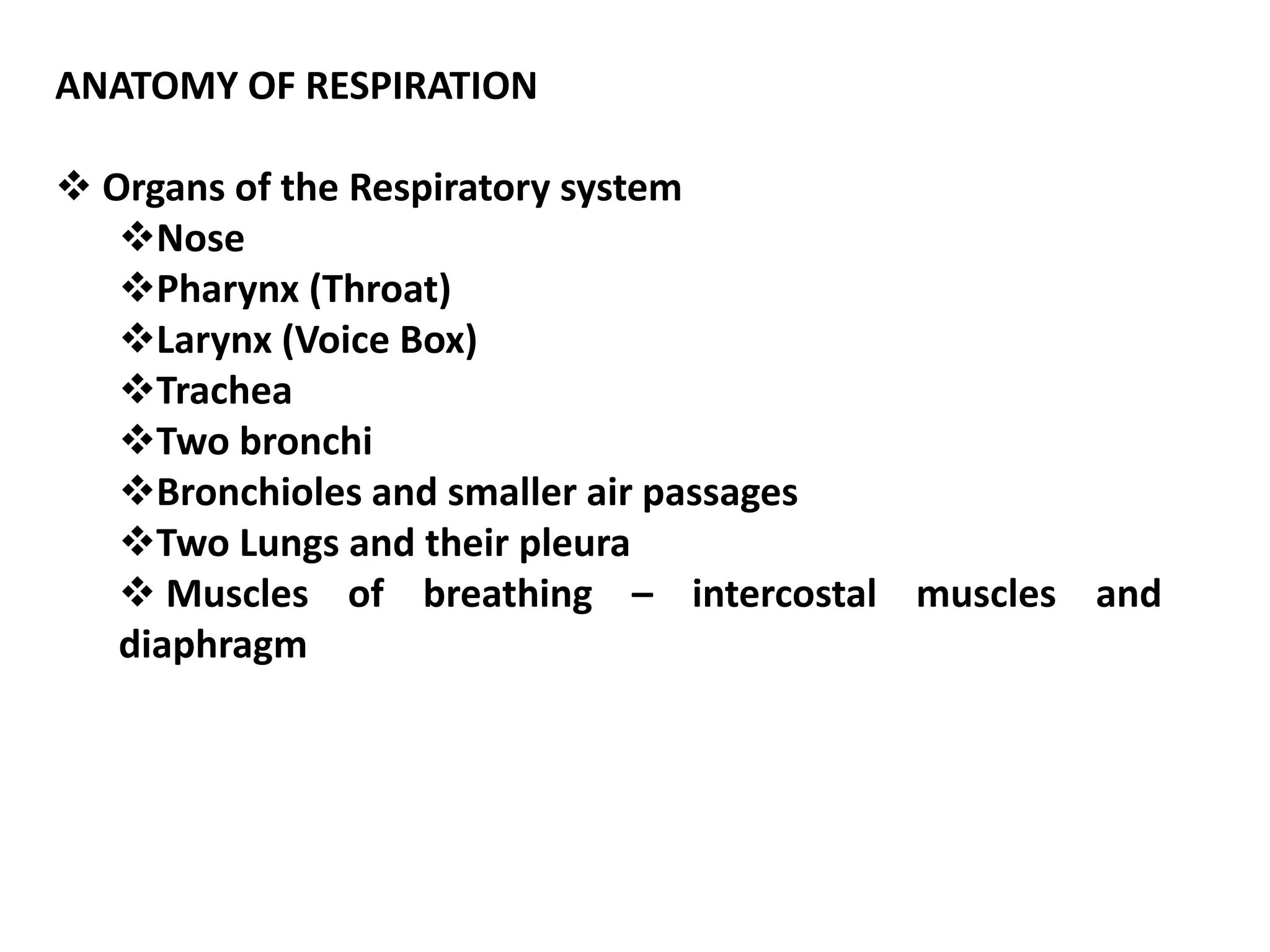 Anatomy of respiratory system | PPTX