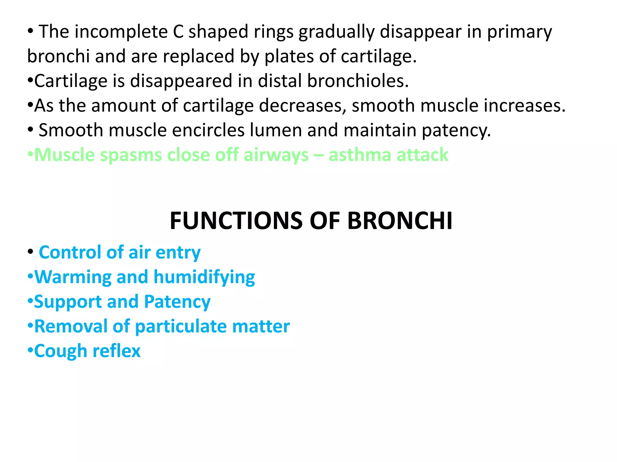Anatomy of respiratory system | PPTX