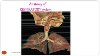 Anatomy of Respiratory system for MD [Autosaved].ppt