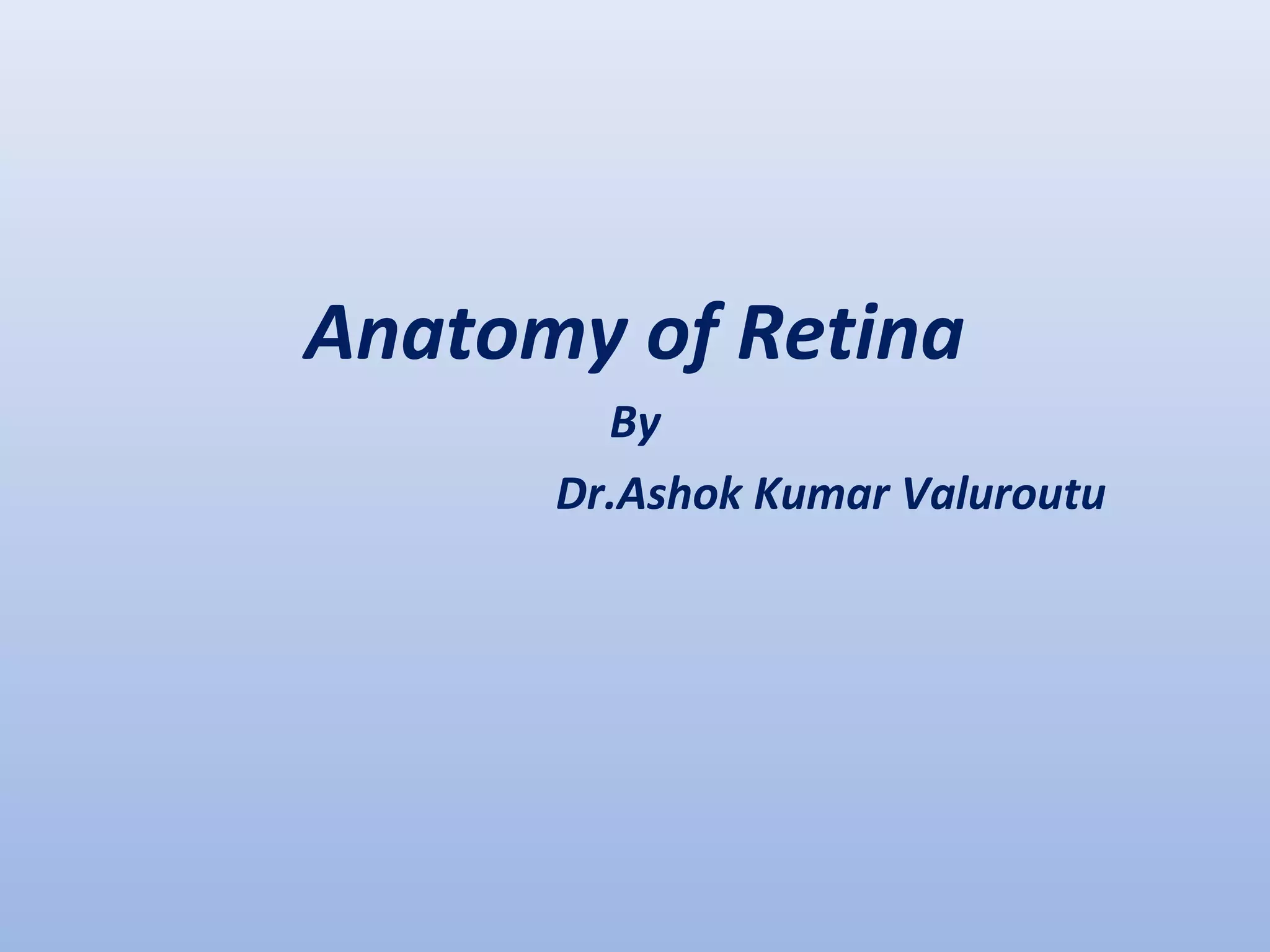 Anatomy of Retina | PPT
