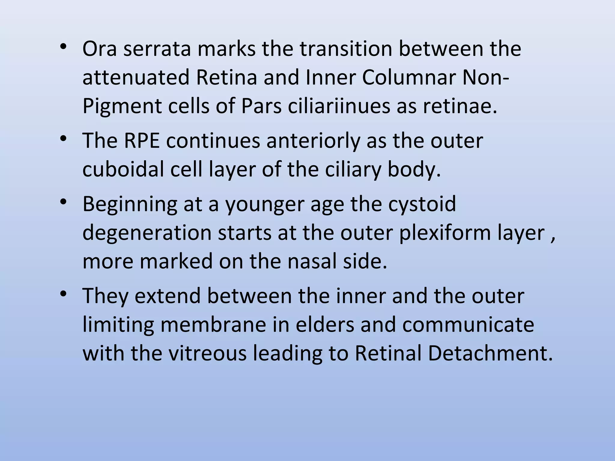 Anatomy of Retina | PPT
