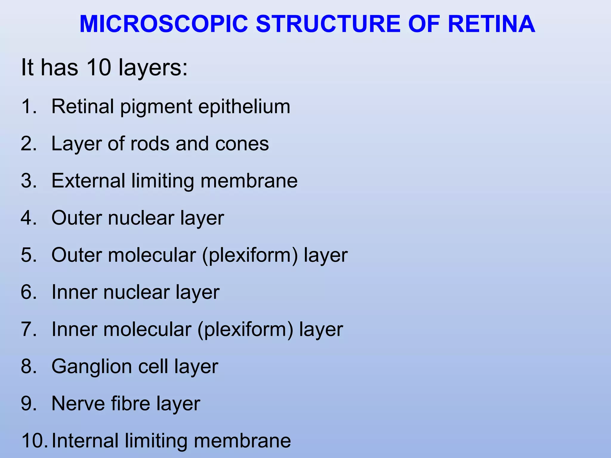 Anatomy of Retina | PPT