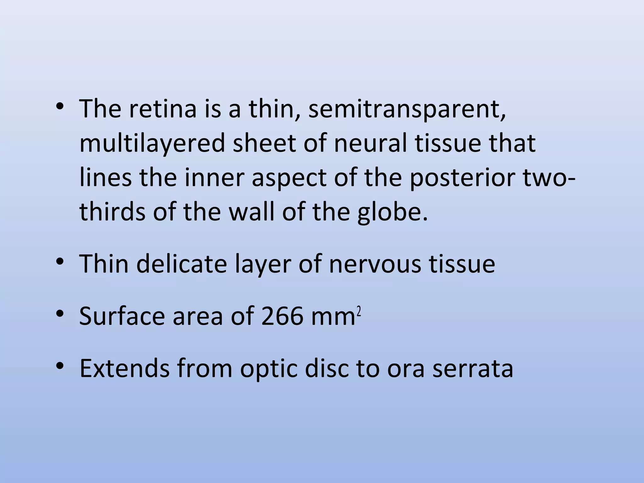 Anatomy of Retina | PPT