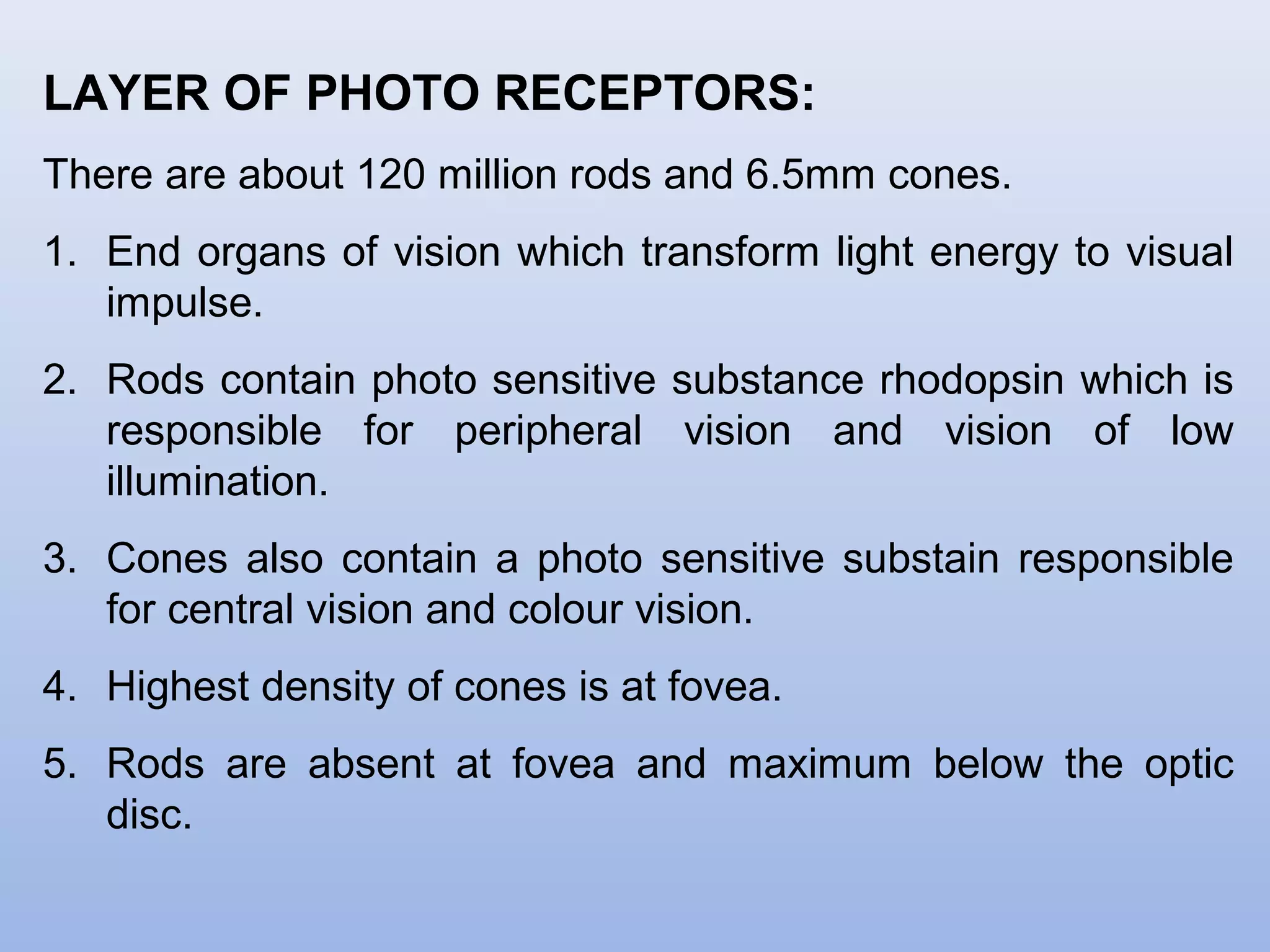 Anatomy of Retina | PPT