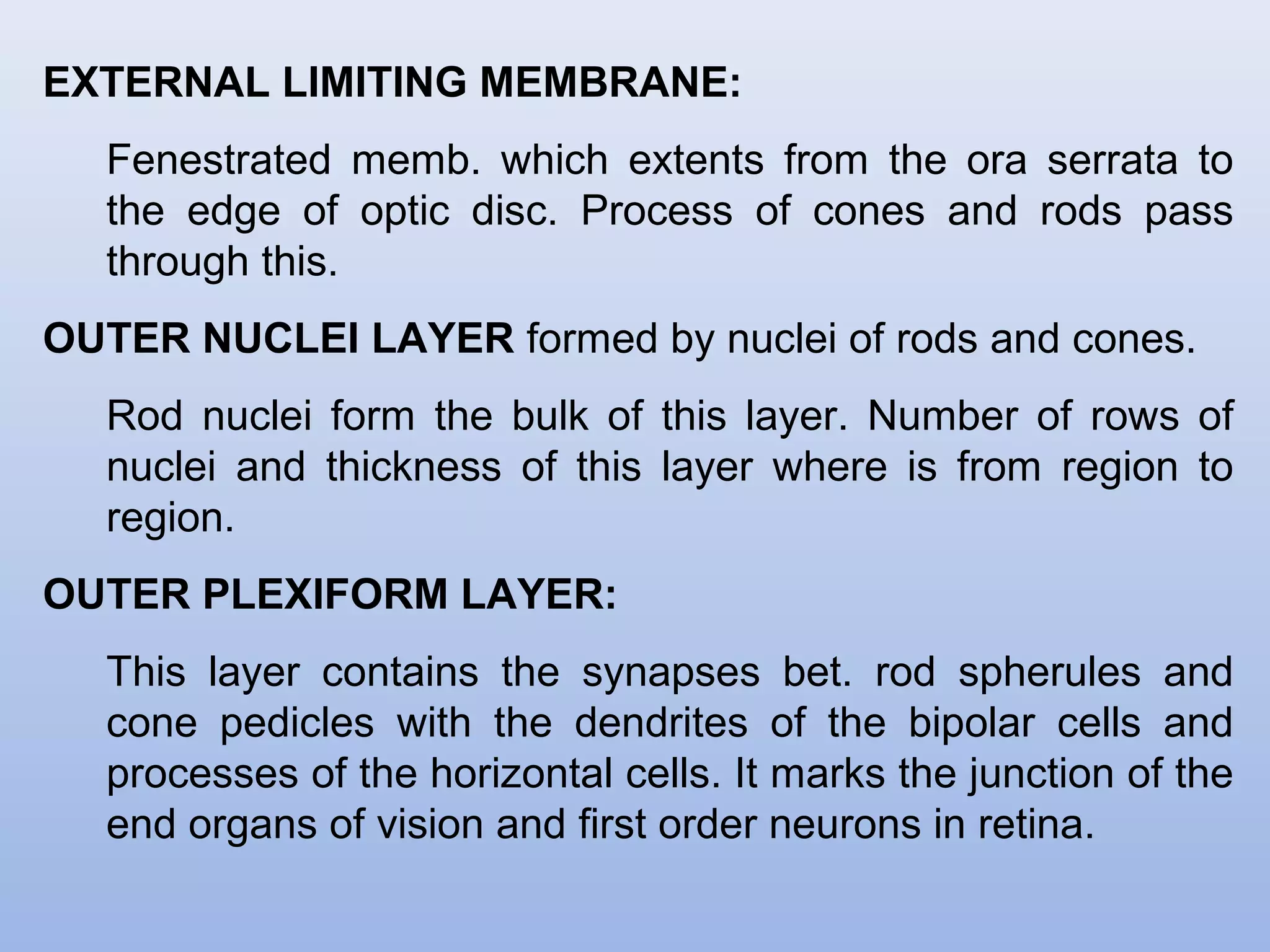 Anatomy of Retina | PPT