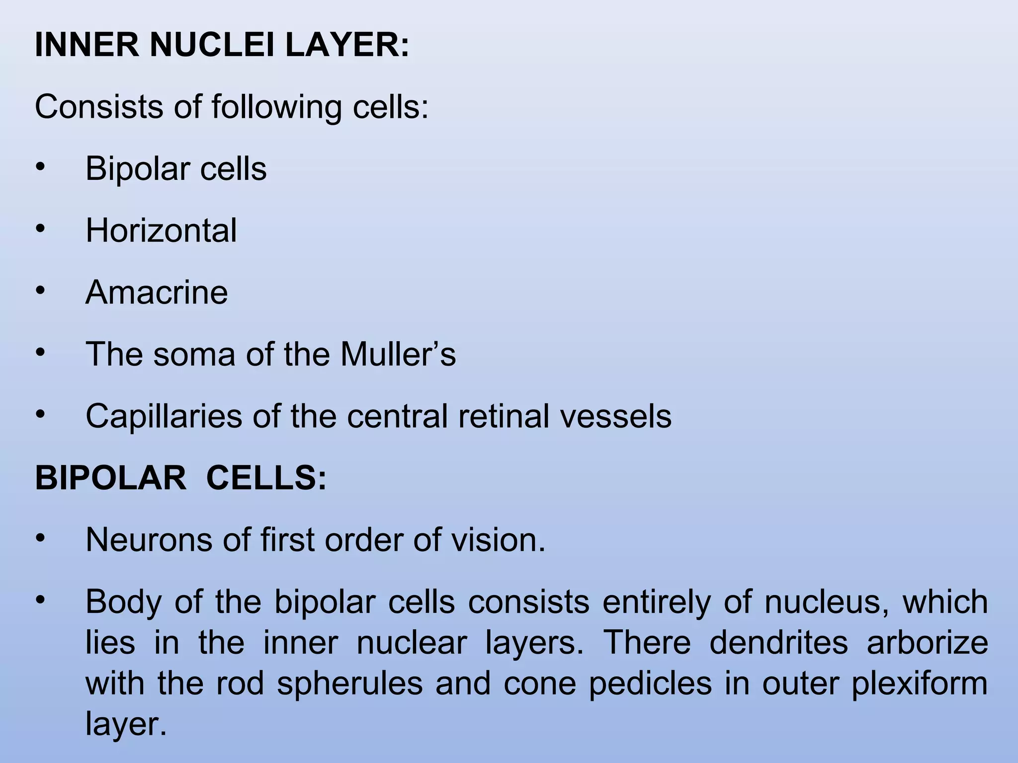 Anatomy of Retina | PPT