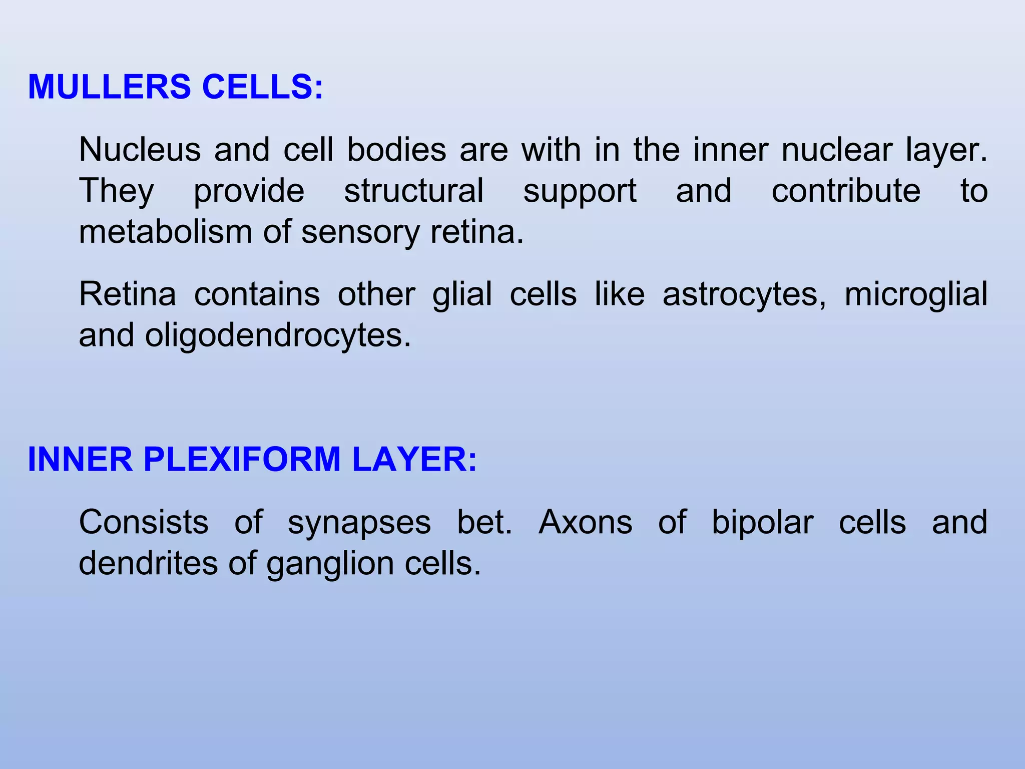 Anatomy of Retina | PPT