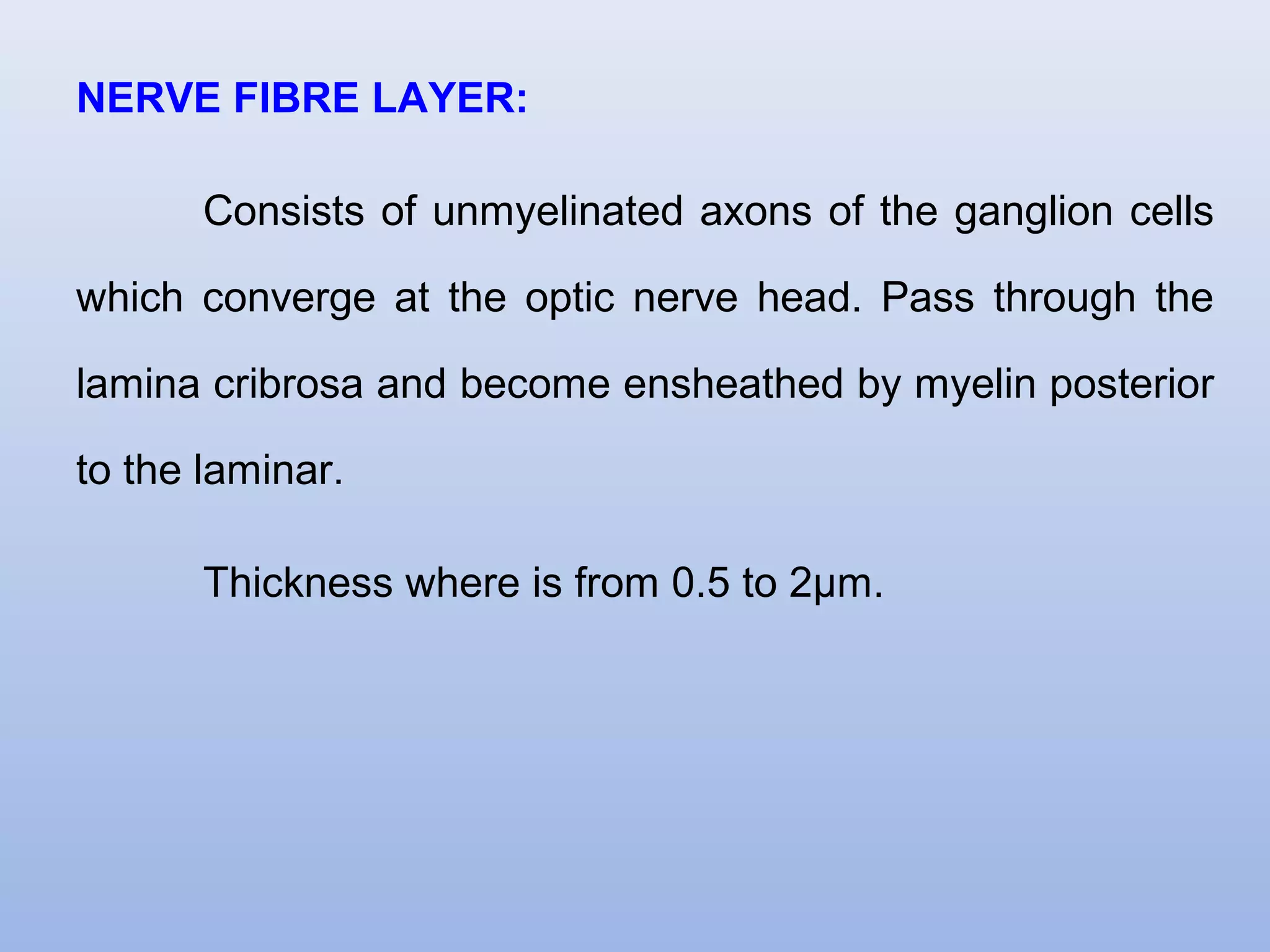 Anatomy of Retina | PPT