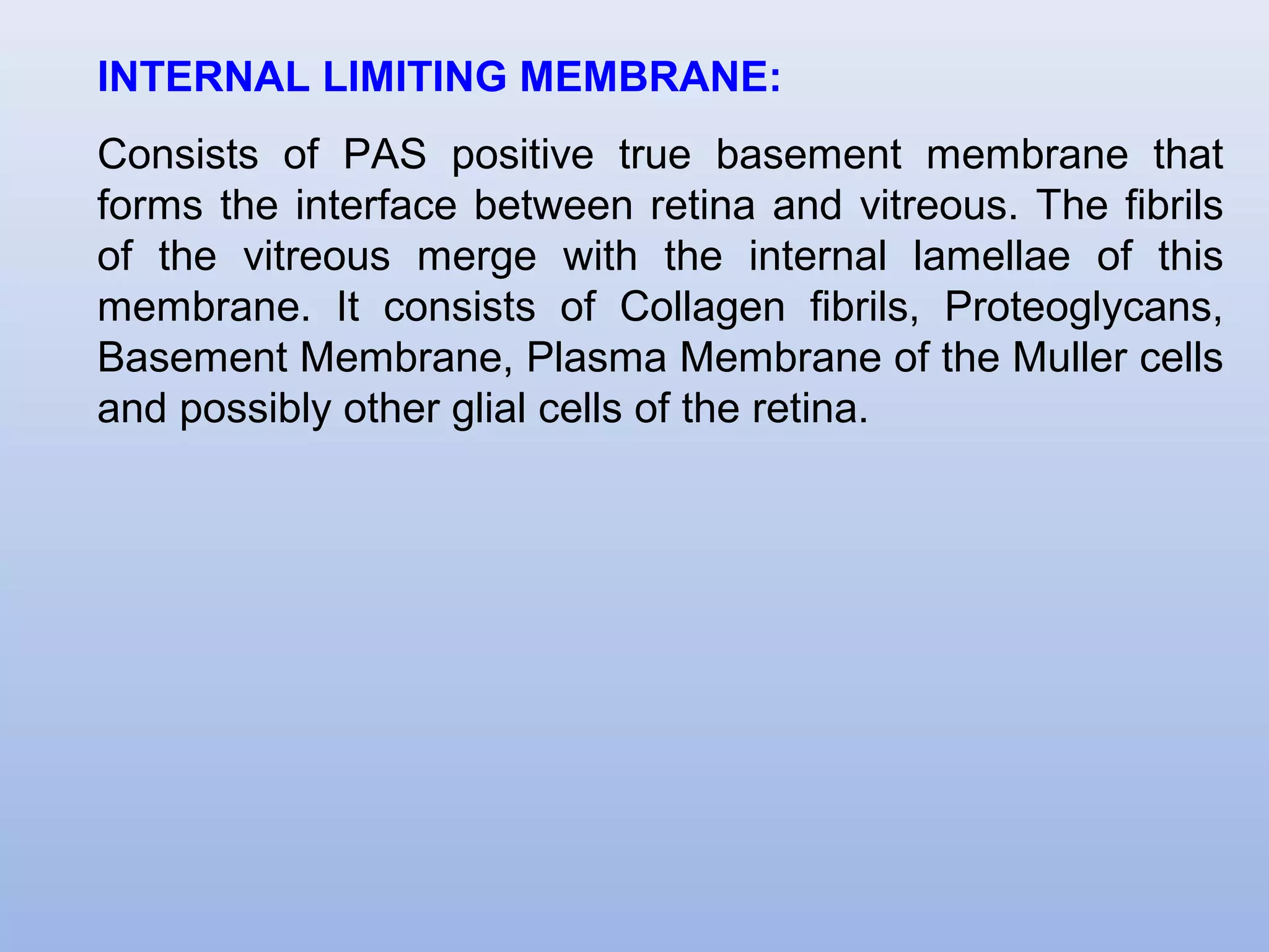 Anatomy of Retina | PPT