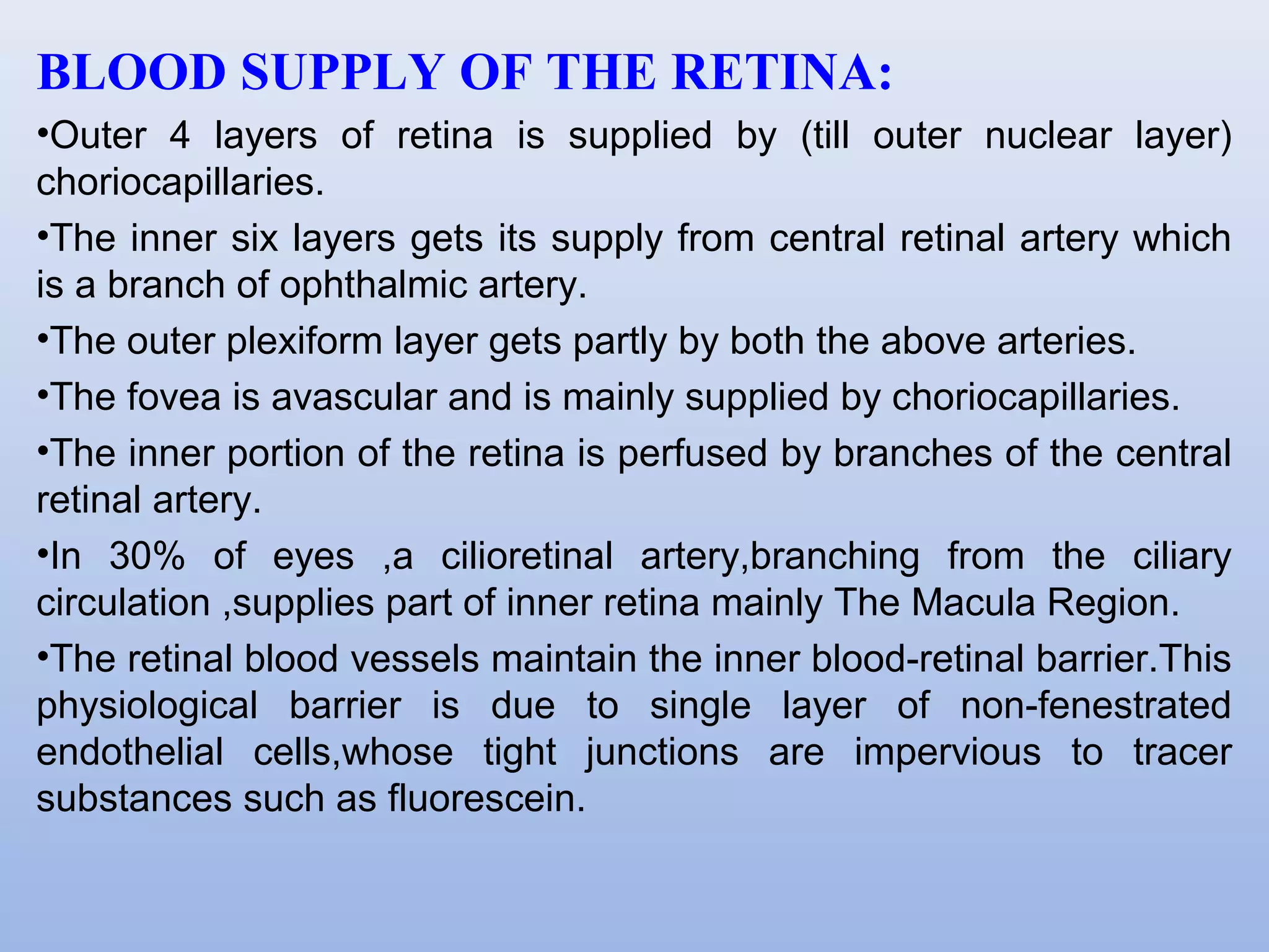 Anatomy of Retina | PPT