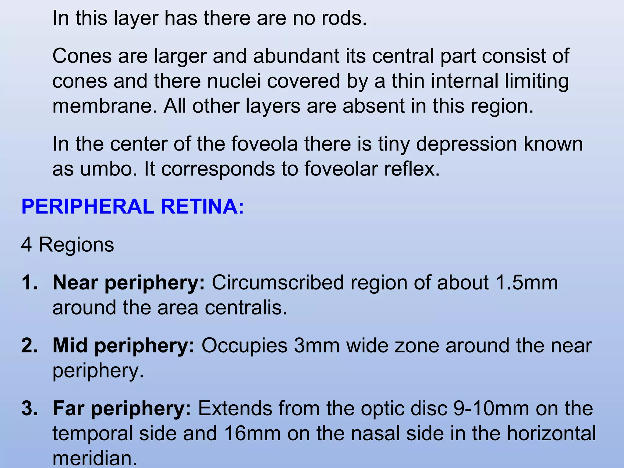 Anatomy of Retina | PPT
