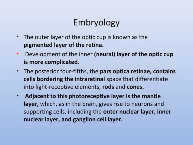 Anatomy of Retina | PPT | Eye and Vision Conditions | Diseases and ...