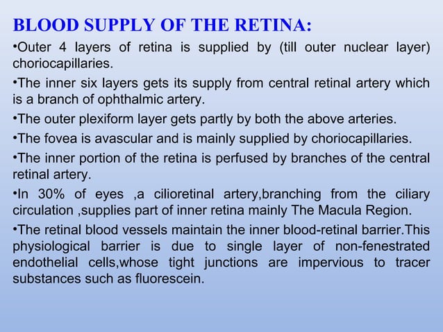 Anatomy of Retina | PPT | Eye and Vision Conditions | Diseases and ...