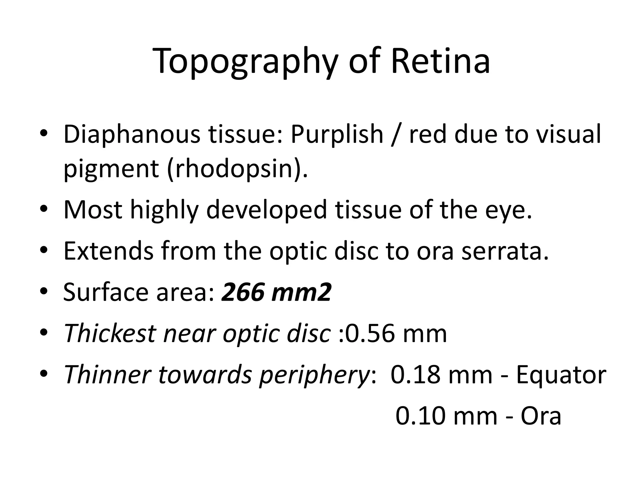 Anatomy of retina | PPTX