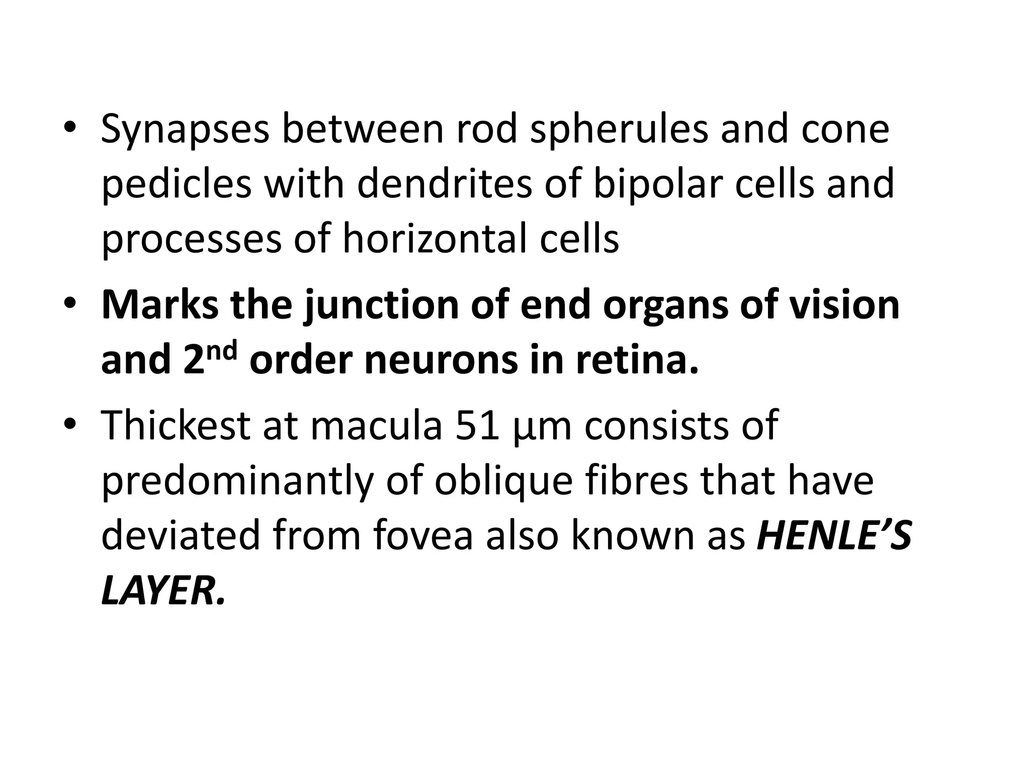 Anatomy of retina | PPTX