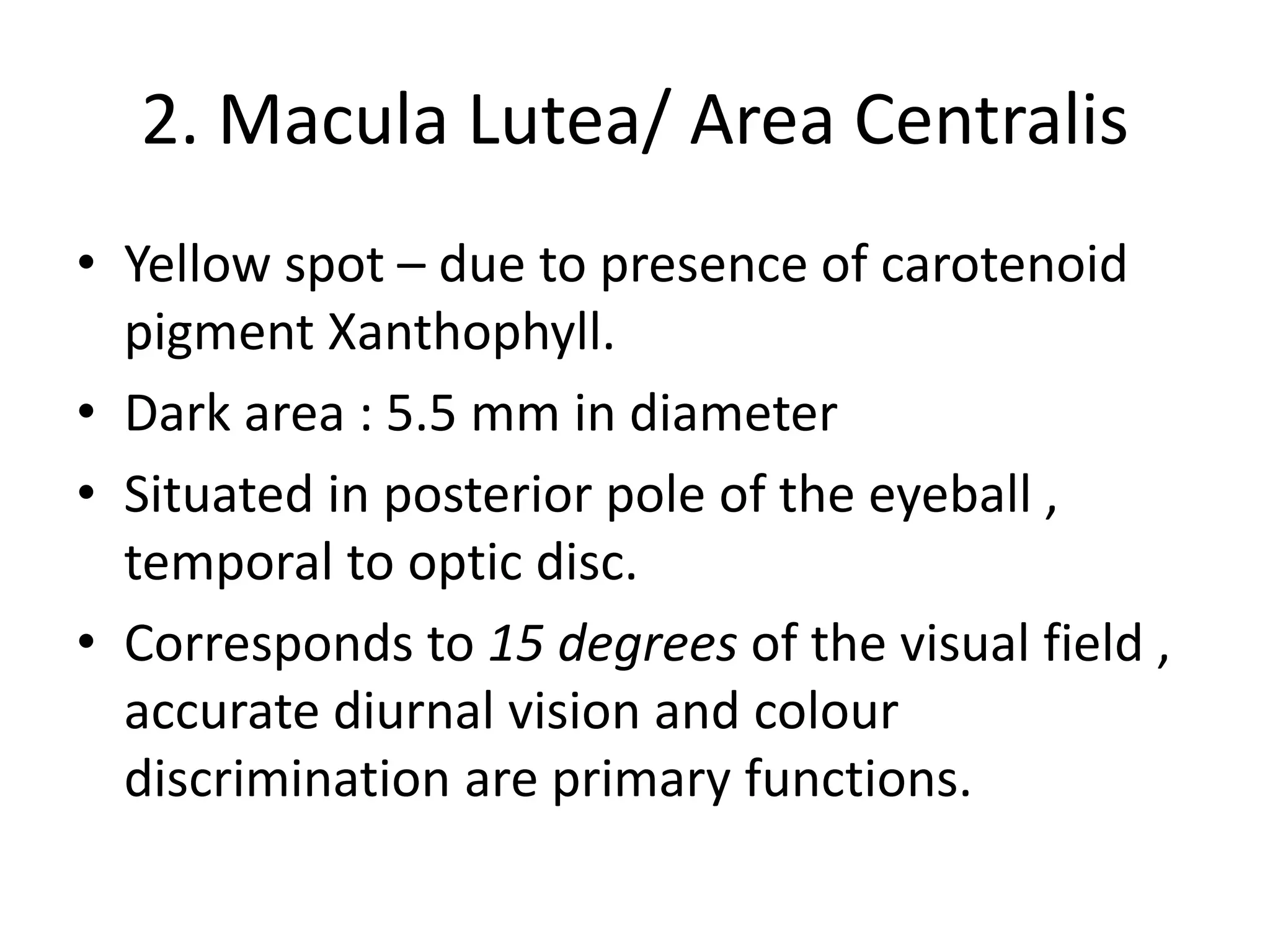 Anatomy of retina | PPTX